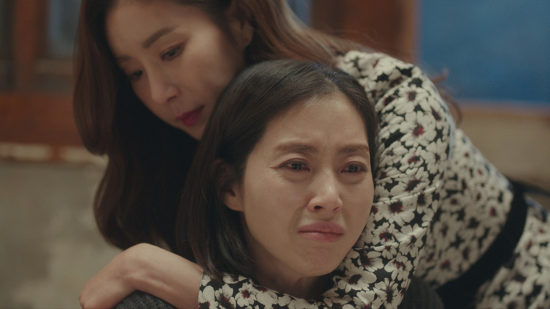 優雅な友達 #29 | WOWOWオンデマンドで見る