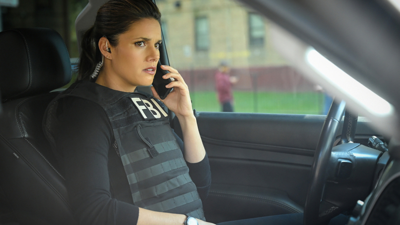 FBI：特別捜査班 シーズン4 #7 愛しき者のために | WOWOWオンデマンドで見る