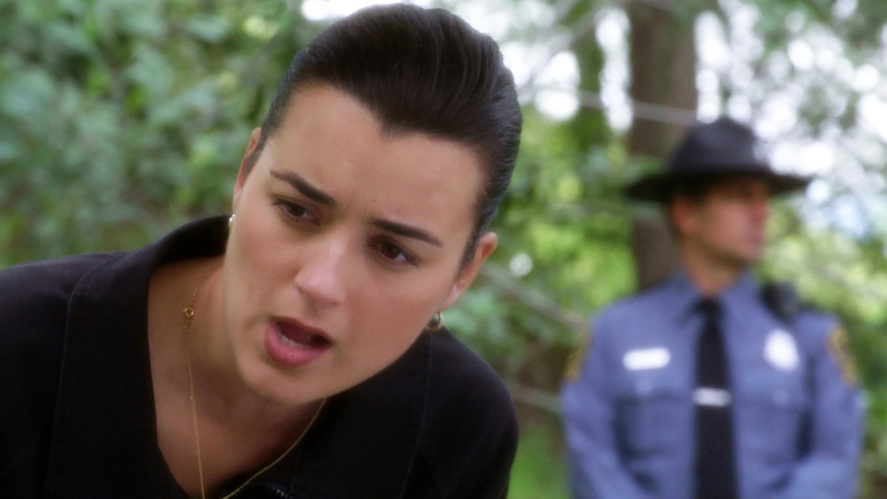 NCIS: ネイビー犯罪捜査班 シーズン8 #22 ボルティモア | WOWOWオンデマンドで見る