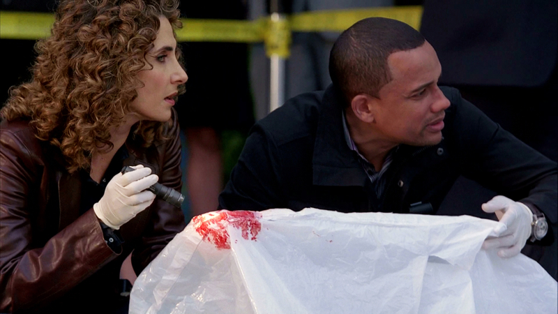 CSI：ニューヨーク シーズン5 #21 過去、現在、そして殺人 | WOWOWオンデマンドで見る