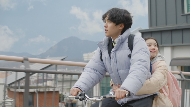 韓国ホームドラマ「美女と純情男」 第2話 | WOWOWオンデマンドで見る