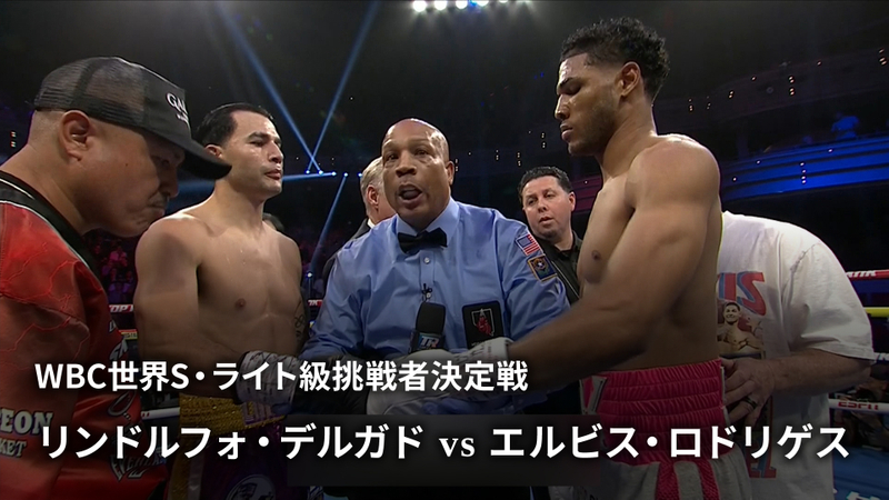 エキサイトマッチ～世界プロボクシング WBC世界S・ライト級挑戦者決定戦 リンドルフォ・デルガド vs エルビス・ロドリゲス | WOWOWオンデマンドで見る