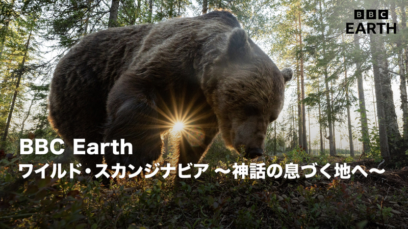 BBC Earth ワイルド・スカンジナビア～神話の息づく地へ～ | WOWOWオンデマンドで見る