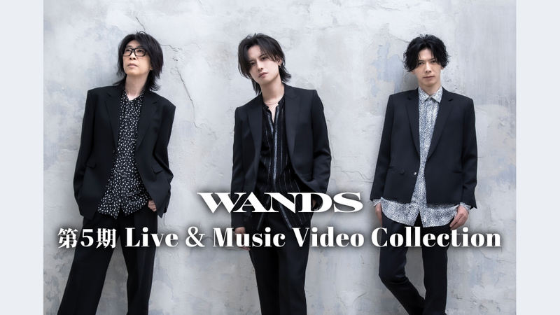 WANDS 第5期 Live & Music Video Collection | WOWOWオンデマンドで見る