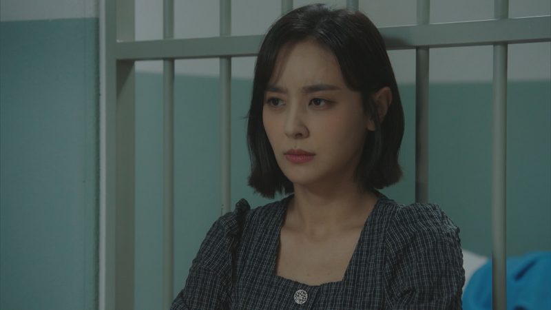 秘密の家～愛と復讐の迷宮～ #41 | WOWOWオンデマンドで見る