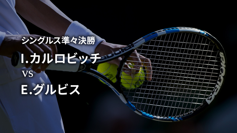 男子テニスatpツアー2019 250 プネー シングルス準々決勝 Iカルロビッチ Vs Eグルビス Wowowオンデマンドで見る
