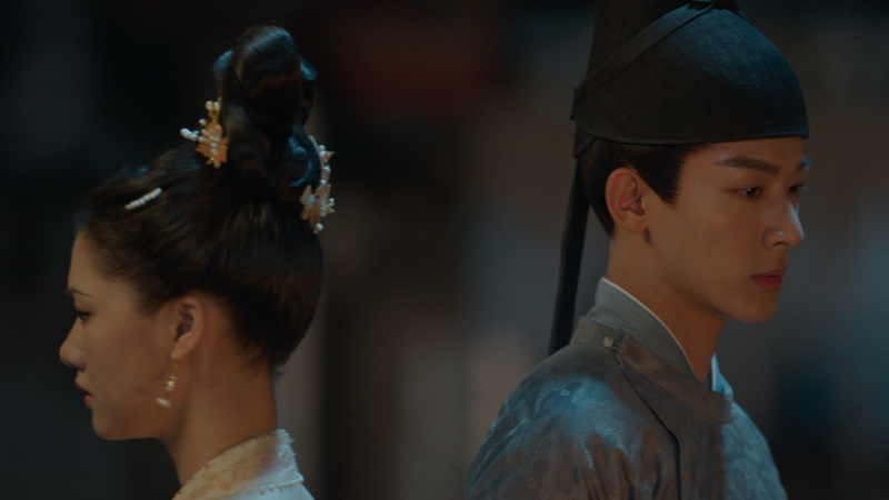 安寧録～海棠に降る光～ ＃35 反間苦肉の策（字幕版） | WOWOWオンデマンドで見る