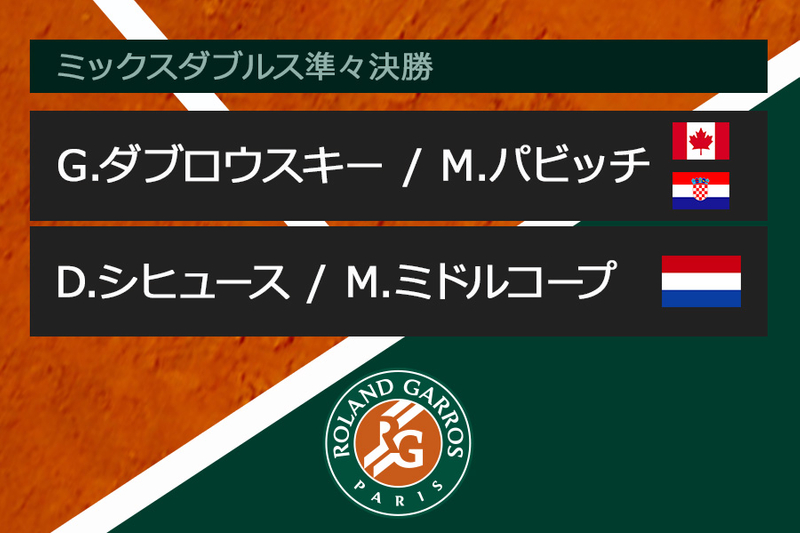 全仏オープンテニス2018【ダブルス】 ミックス準々決勝 Gダブロウスキー Mパビッチ Vs Dシヒュース Mミドルコープ