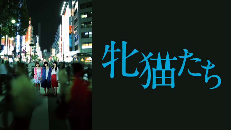 牝猫たち[R15+指定版] | WOWOWオンデマンドで見る