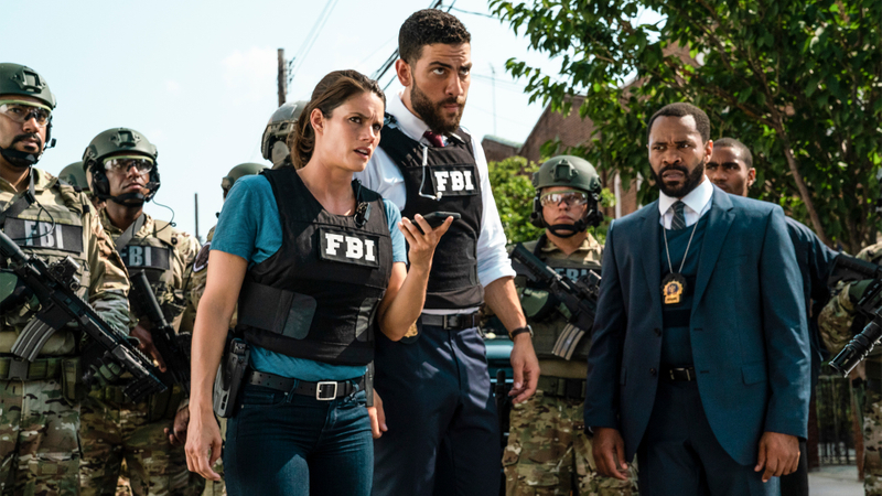 Fbi：特別捜査班 4 届かぬ祈り Wowowオンデマンドで見る