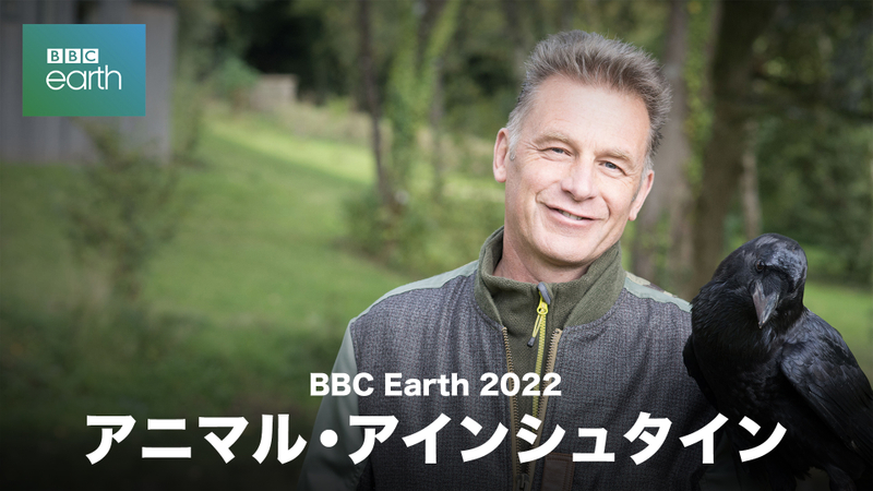 Bbc Earth 2022 アニマル・アインシュタイン だましの天才 Wowowオンデマンドで見る