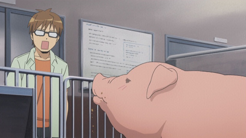 銀の匙 Silver Spoon第1期 9 八軒、豚丼に迷う Wowowオンデマンドで見る