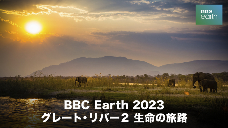 BBC Earth グレート・リバー2 生命の旅路 | WOWOWオンデマンドで見る