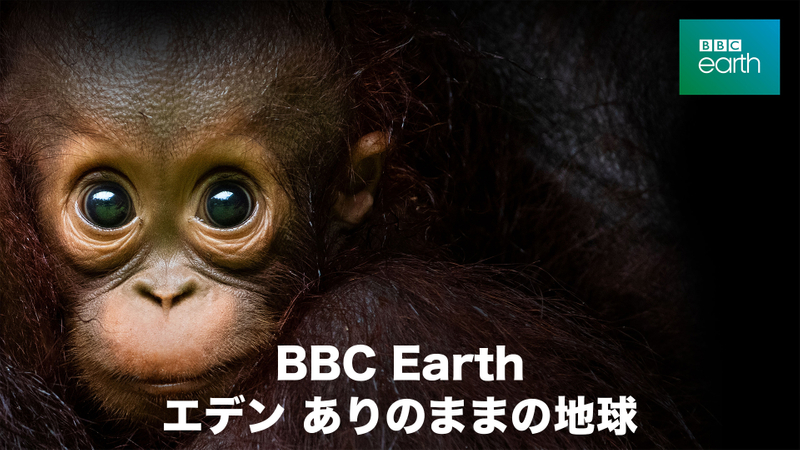 BBC Earth 2022 エデン ありのままの地球 エピソード | WOWOWオンデマンドで見る
