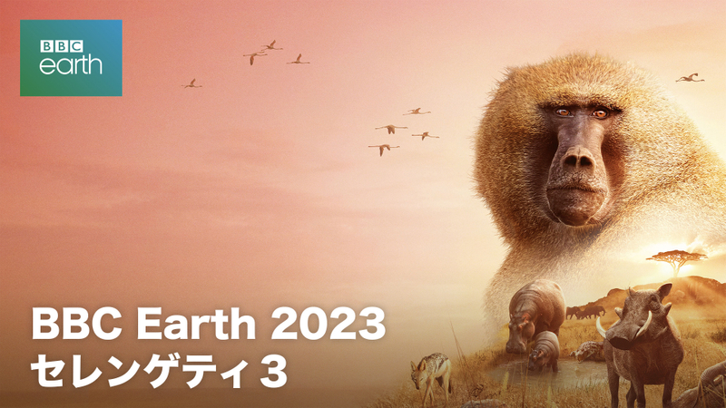 BBC Earth 2023 セレンゲティ3 | WOWOWオンデマンドで見る