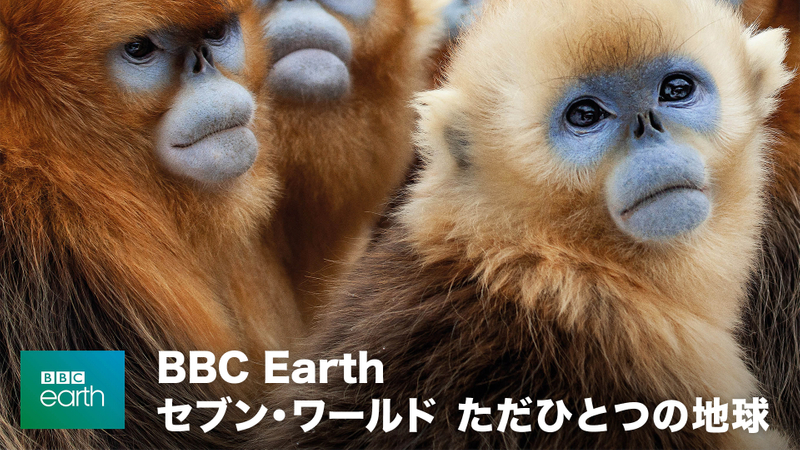 BBC Earth セブン・ワールド ただひとつの地球 | WOWOWオンデマンドで見る