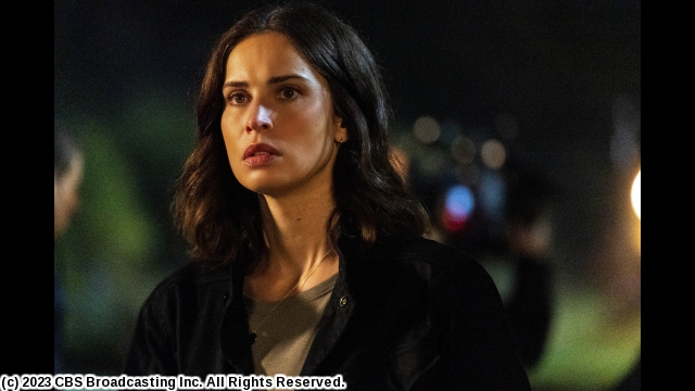 FBI：インターナショナル2 ＃4 トルコからの脱出 | WOWOWオンデマンドで見る