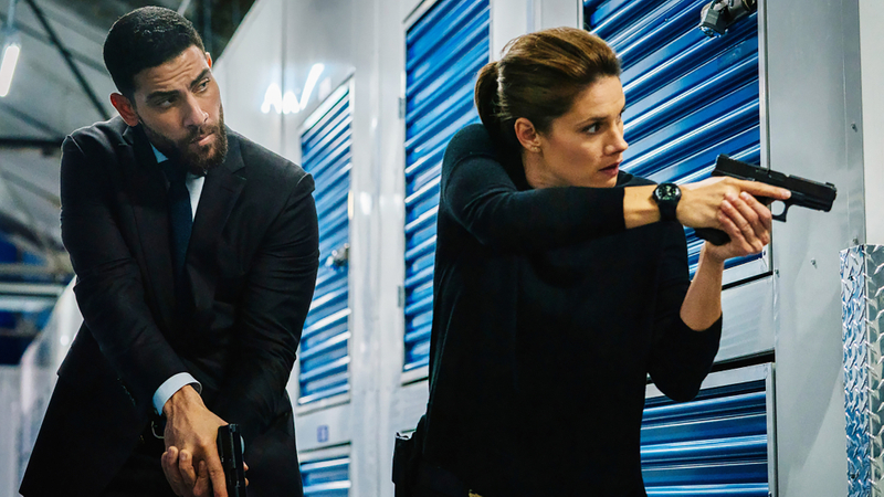 FBI：特別捜査班 シーズン2 #8 フェルディナント作戦 | WOWOWオンデマンドで見る