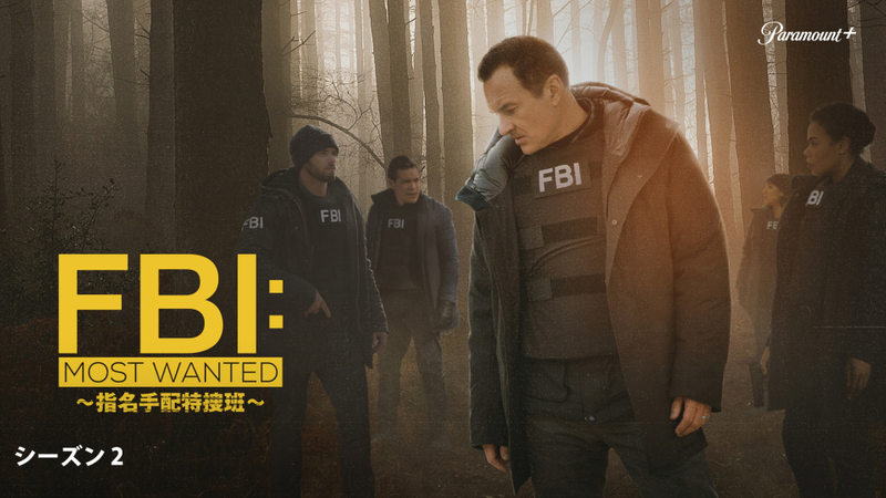 Fbi:most Wanted ~指名手配特捜班~ シーズン2 Wowowオンデマンドで見る
