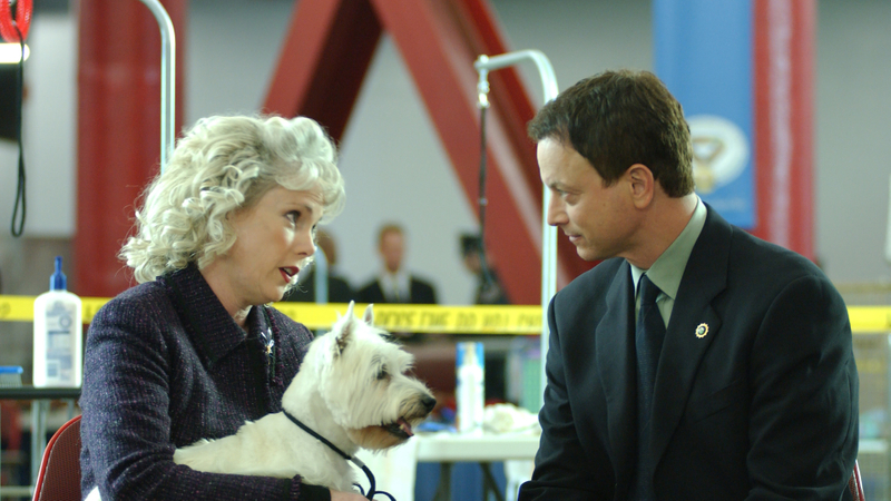Csi：ニューヨーク シーズン1 12 リサイクル Wowowオンデマンドで見る