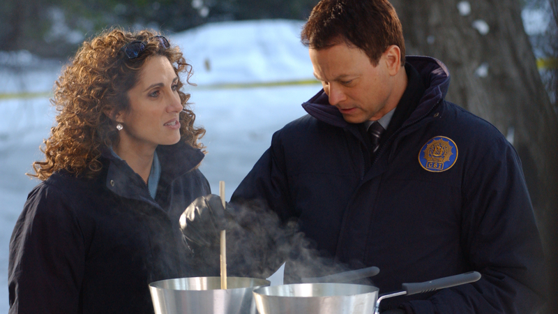 CSI：ニューヨーク シーズン1 #13 タングルウッド・ボーイ | WOWOWオンデマンドで見る