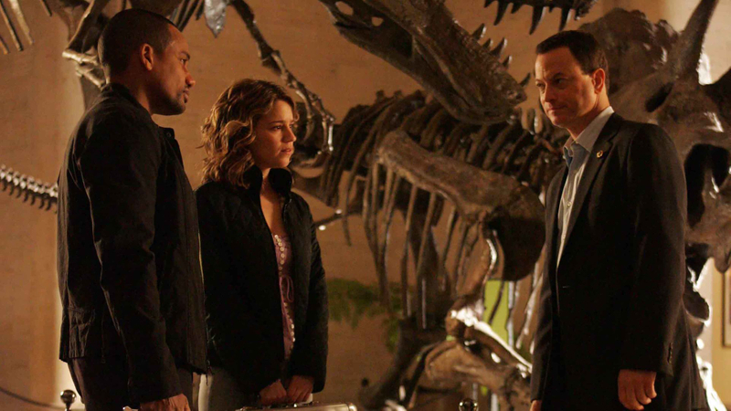 CSI：ニューヨーク シーズン2 #17 屍の虫 | WOWOWオンデマンドで見る