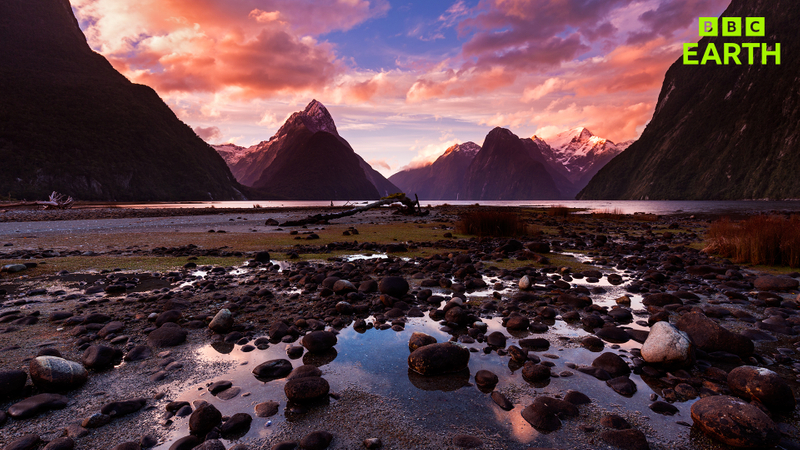 BBC Earth ワイルド・ニュージーランド～美しき野生の楽園～ #3 招かれざる客 | WOWOWオンデマンドで見る